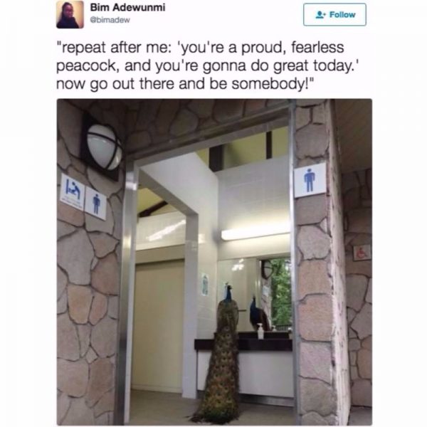 20 Feel Good Memes That Will Tug At Your Heartstrings