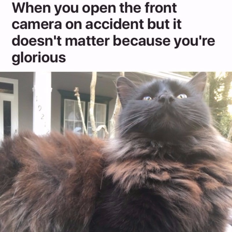 20 Feel Good Memes That Will Tug At Your Heartstrings