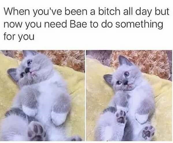 25 Funny Relationship Memes Is What We Can All Relate Too